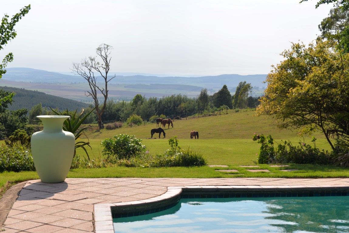 Mom's weekend meander in the Midlands | North Coast Courier