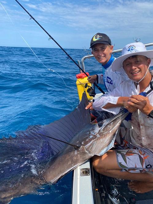 #FishEagle: Sprats a plenty! | North Coast Courier