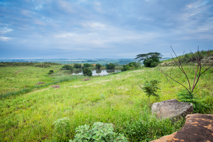 Springvale Country Estate launches third phase | North Coast Courier