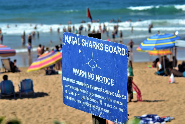 North Coast holidaymakers ignore beach closure notices | North Coast ...