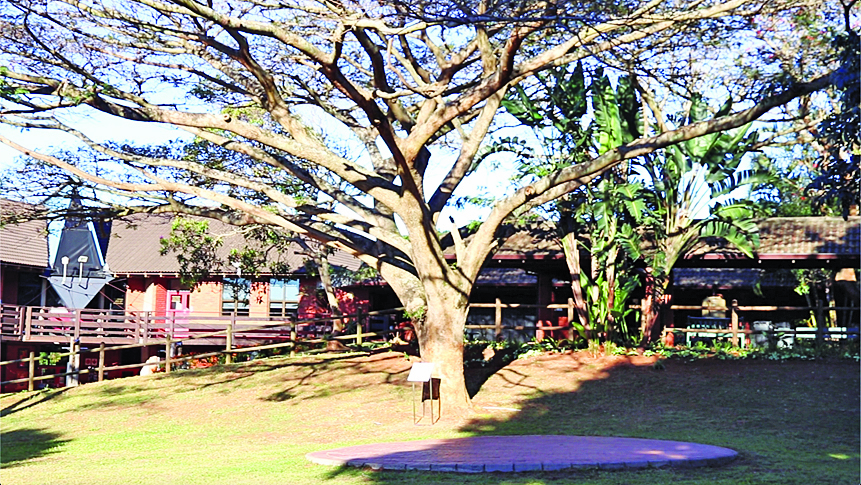 First mixed-race school in South Africa celebrates Youth Day with its ...