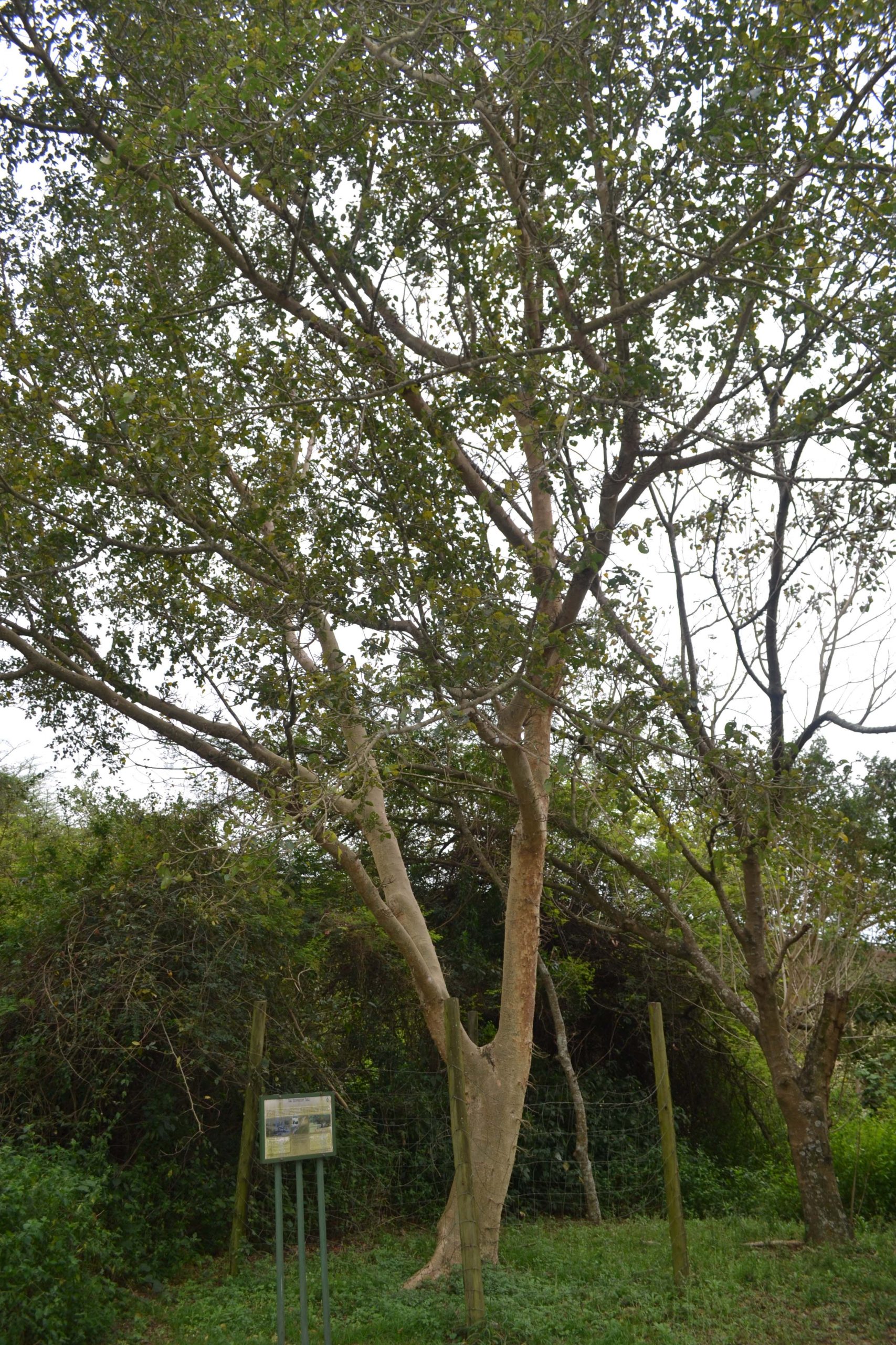 10 incredible places to explore in iLembe on the KZN coast | North ...