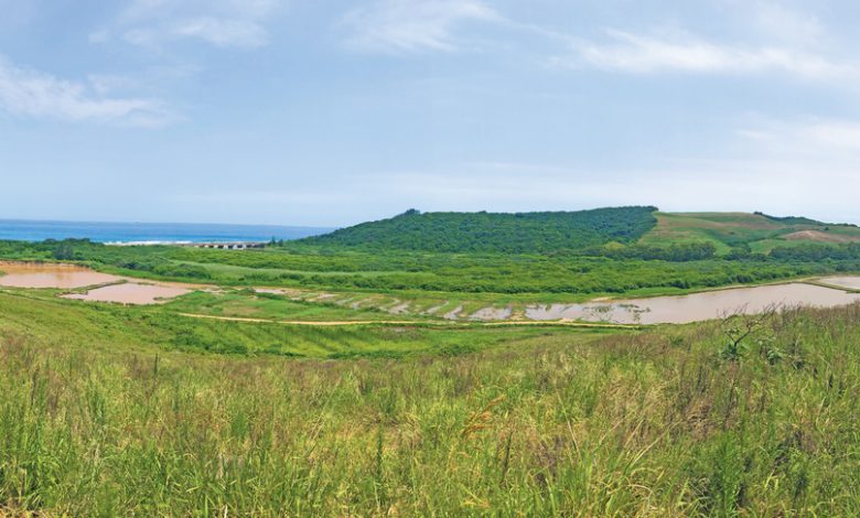 Years of environmental damage to Tongaat River estuary will need ...