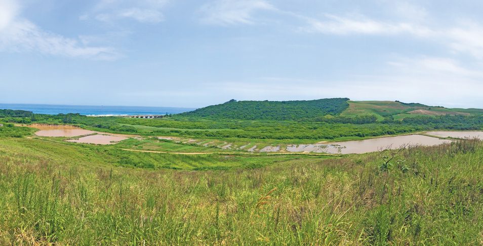 Years of environmental damage to Tongaat River estuary will need ...