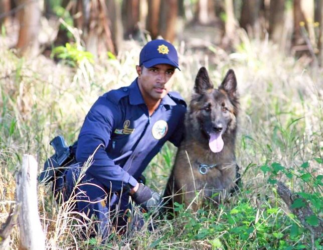 Here's what you need to know about the top dogs for home security ...