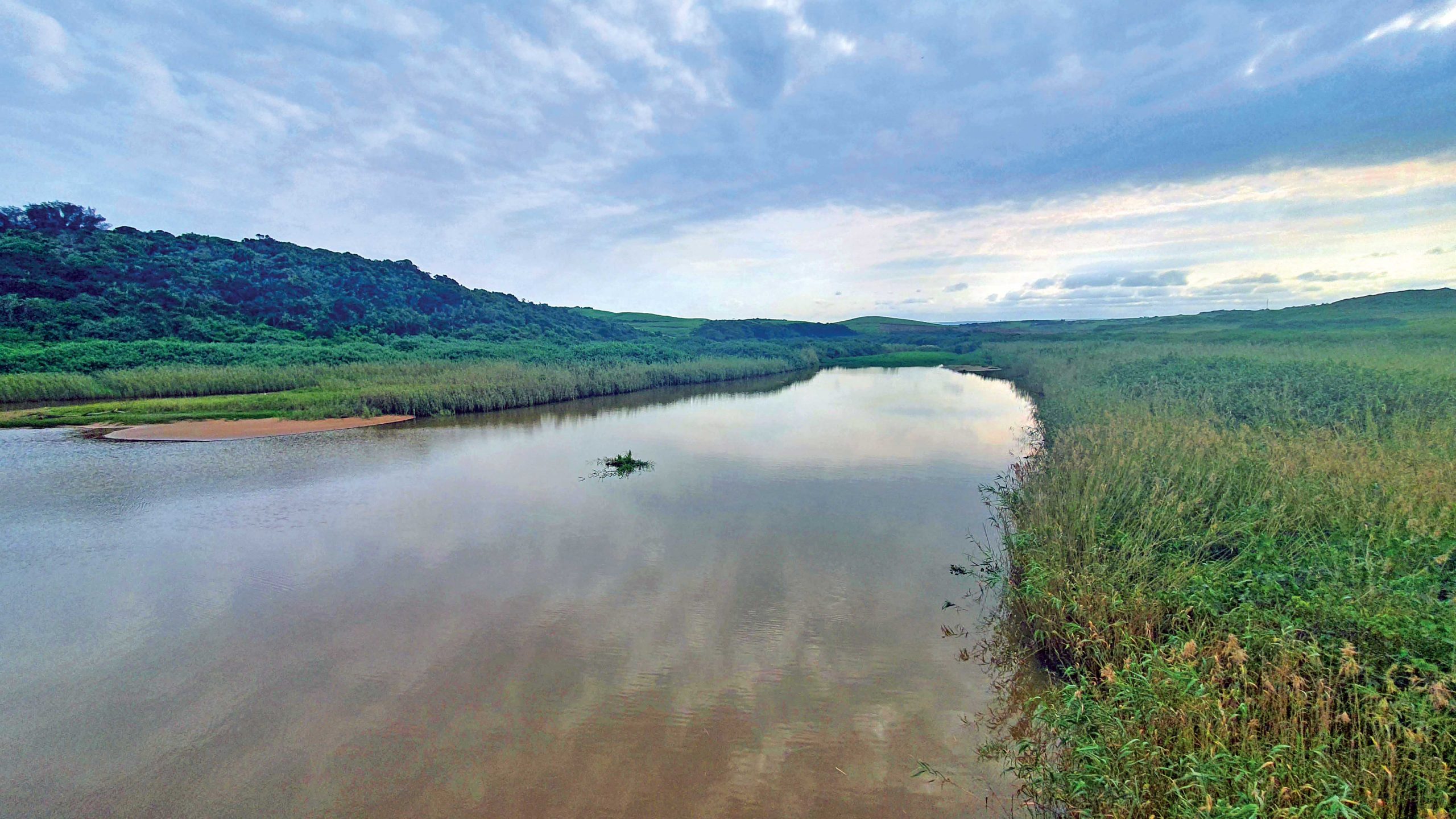 Long road to recovery for raw sewage-plagued Tongaat estuary | North ...