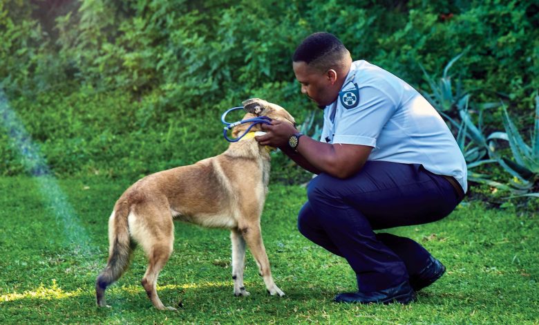 Saving one animal at a time is all in a day's work for SPCA inspector ...