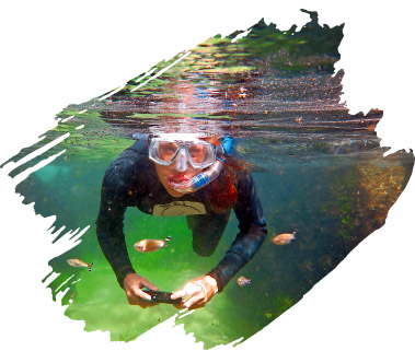 15 unforgettable ways to experience tourism and heritage in iLembe ...