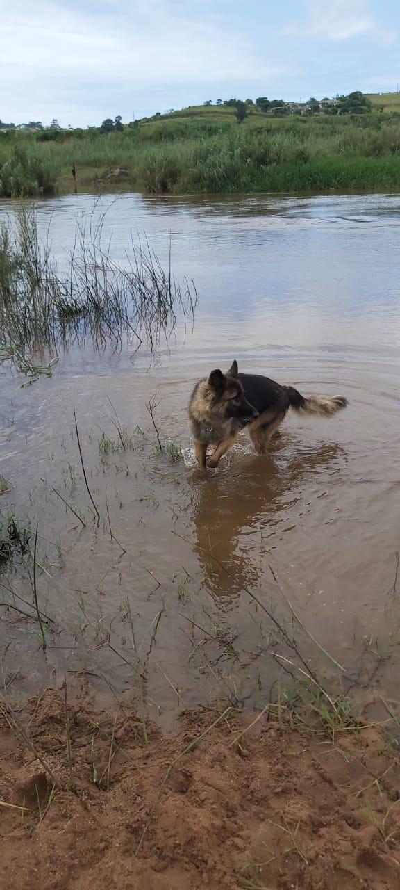 Mother and baby swept away by Umvoti River | North Coast Courier