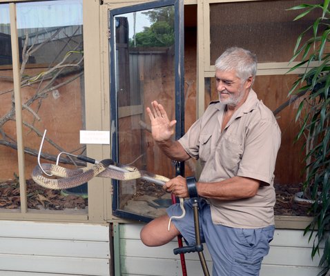 A warm heart for cold-blooded creatures, Ballito snake catcher shares ...