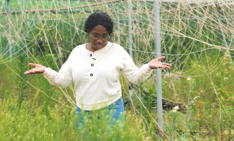 Lifeline for Shakaskraal tunnel farmer after floods destroyed her ...