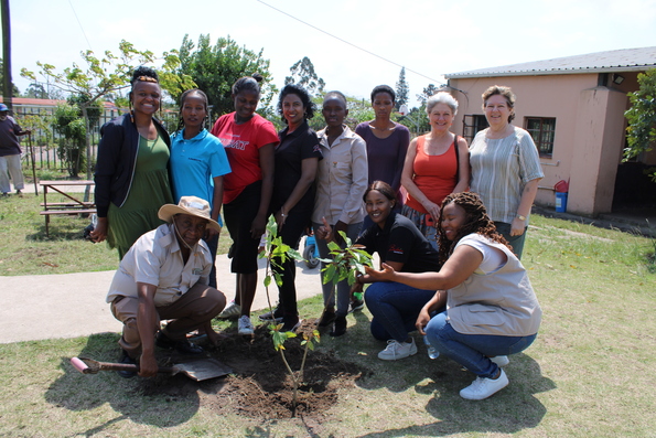 Balwin Properties promotes conservation a tree at a time | North Coast ...