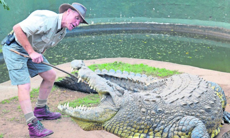 Crocodile Creek handler Sean le Clus shakes off croc bite that went ...