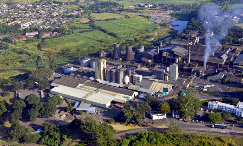 Tongaat Hulett promises to pay growers by next week, says SAFDA | North ...