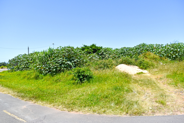 Open space turned into illegal dumping site | North Coast Courier