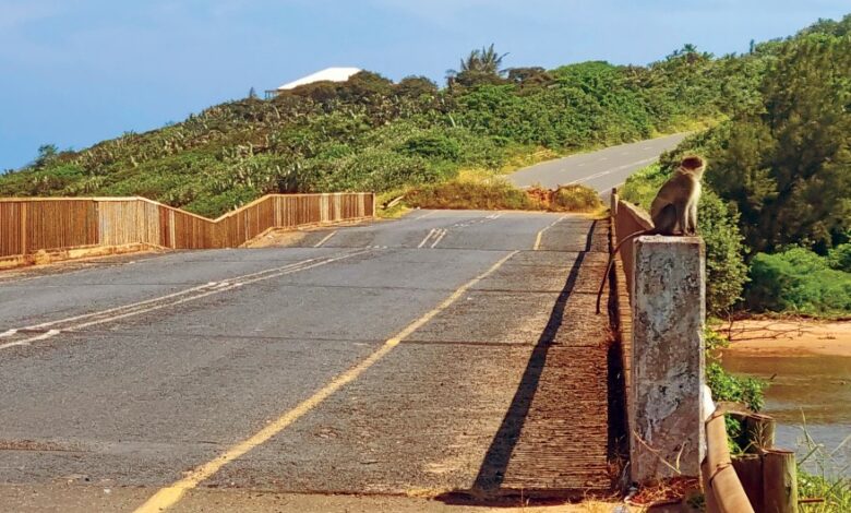Still no construction activity at M4 bridge | North Coast Courier