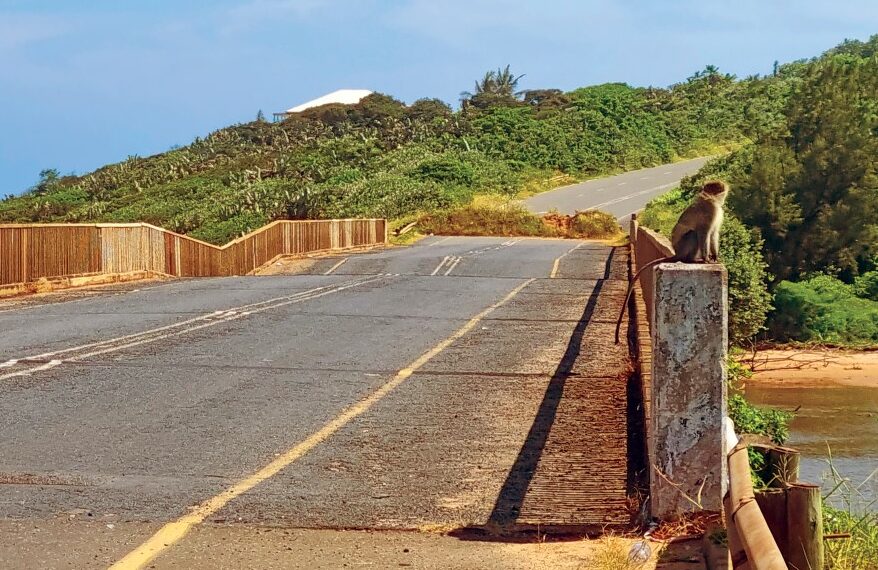 Fifth tender for M4 Tongaat River bridge repair fails | North Coast Courier