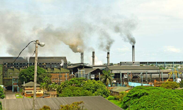 Gledhow Mill survival crucial for 14 000 farming jobs | North Coast Courier