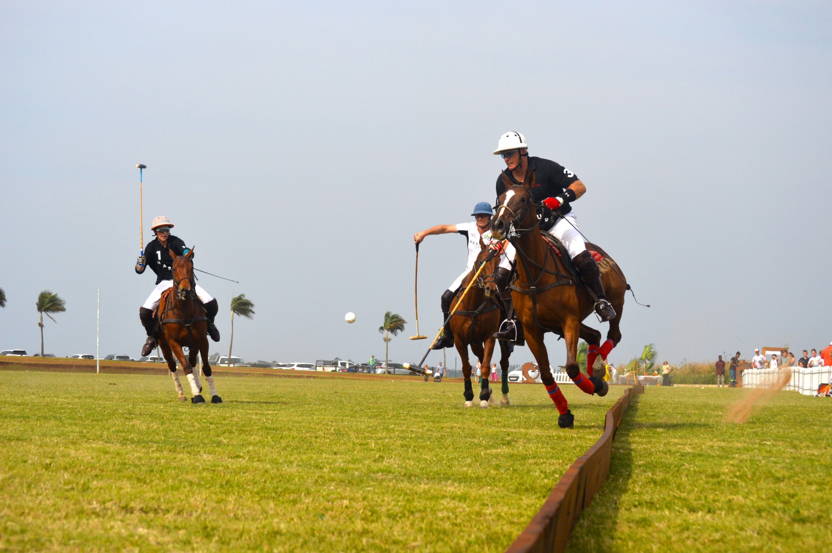 A jolly good polo show | North Coast Courier