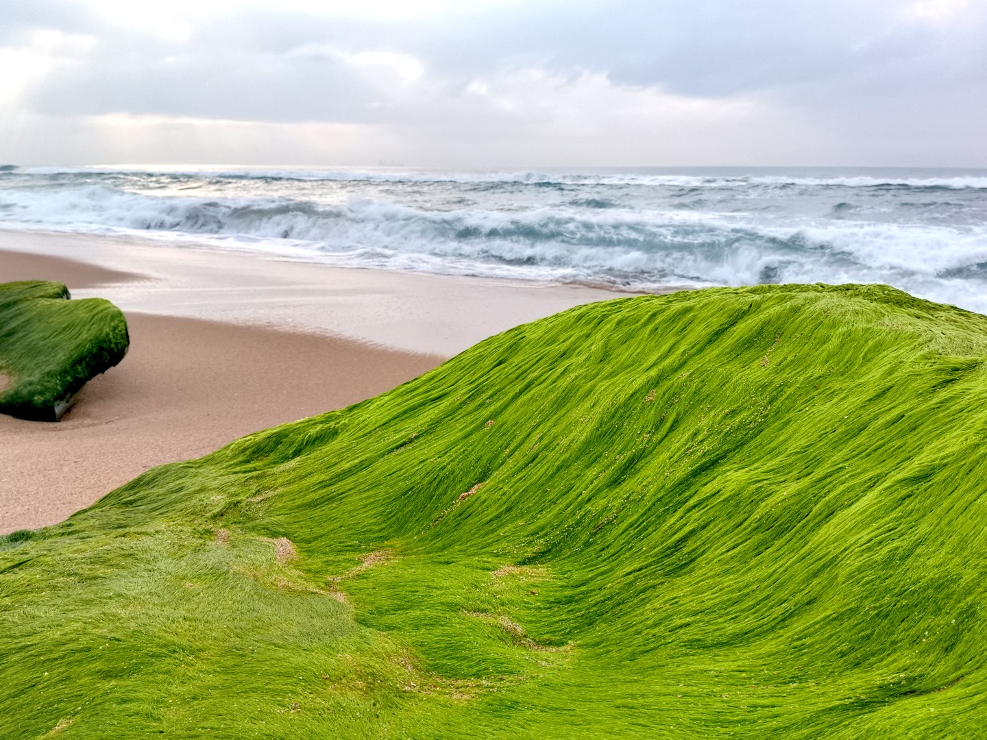 From sewage to spectacle, the story behind Umdloti's lush algae-coated ...