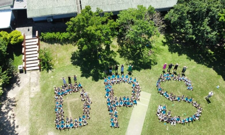 Darnall Primary School is committed to excellence | North Coast Courier