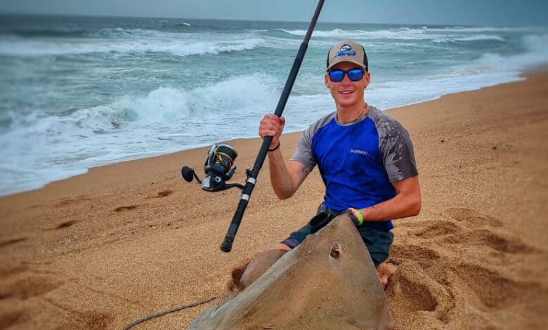 #FishEagle: Grey sharks dominate anglers’ catch with edible fish hard ...