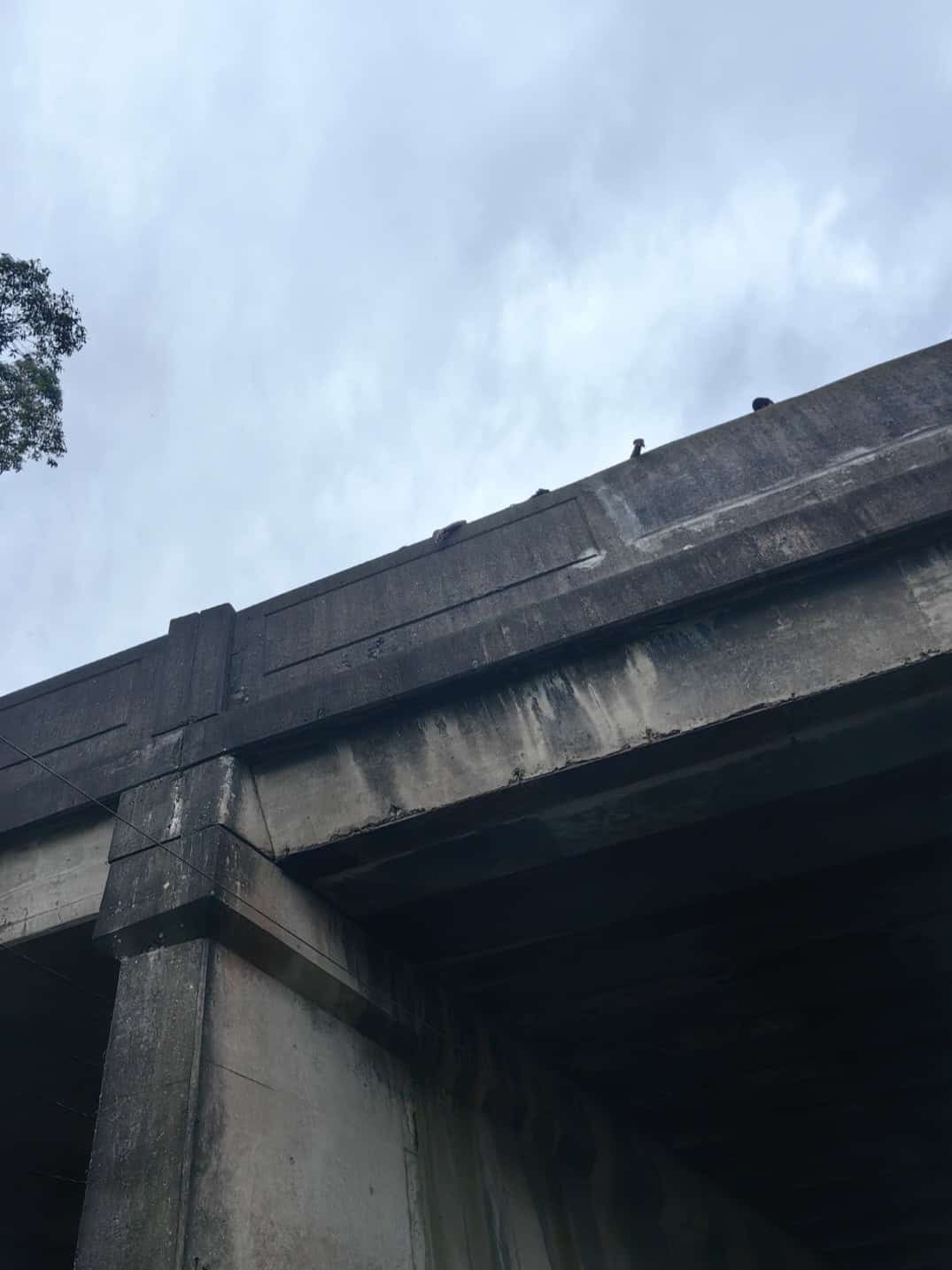 One dead as vehicle plunges off bridge onto train tracks in KZN - LNN ...