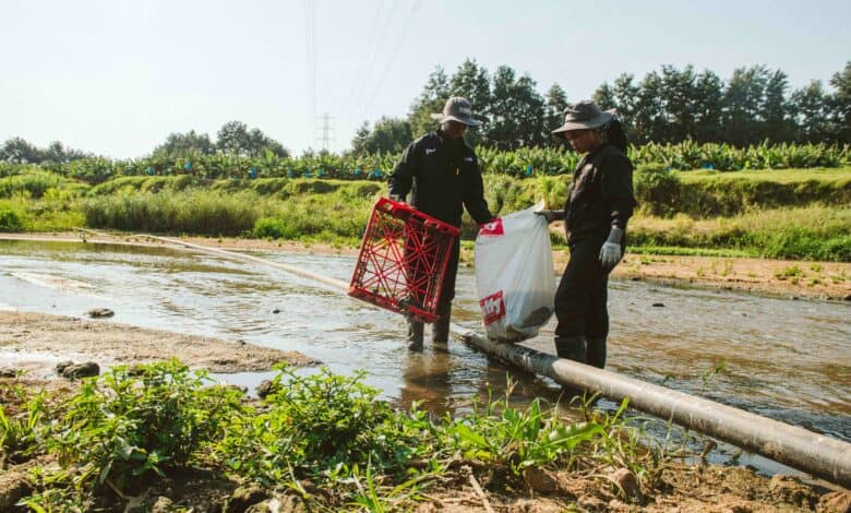 Turning the Tide: The Litterboom Project expands to include a second North Coast river | North ...