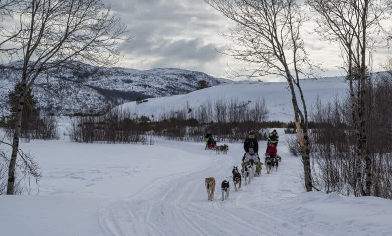 Ballito Photo Club’s February winners exhibit moving images of the ...