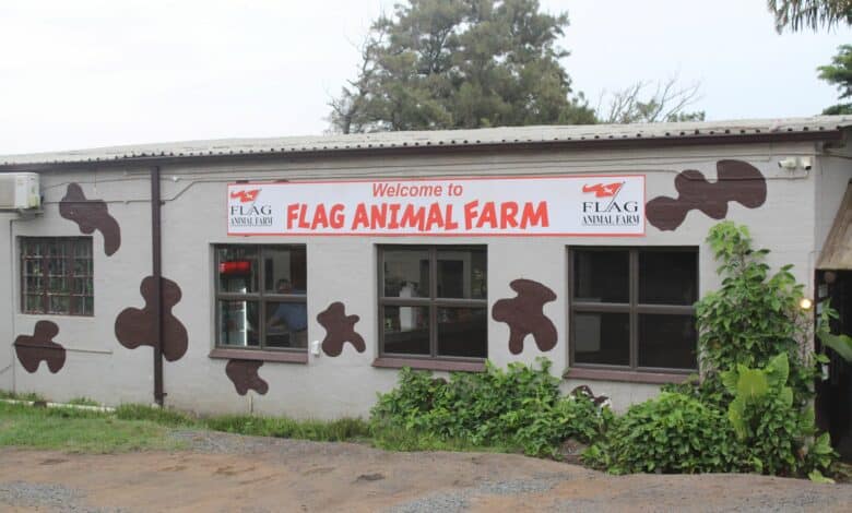 Community jumps in to support Flag Animal Farm after viral social media ...