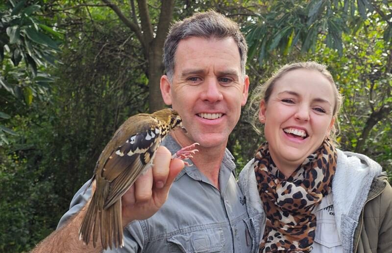 First sighting of rare spotted ground thrush in Palm Lakes | North ...