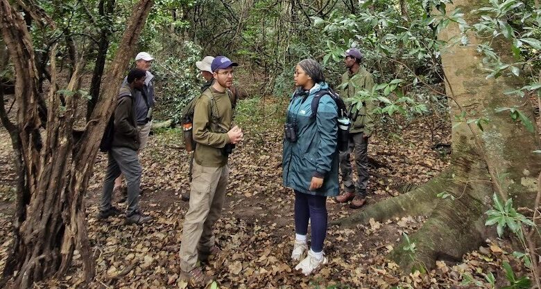 Citizen scientists count more than 200 rare ground thrushes in KZN ...