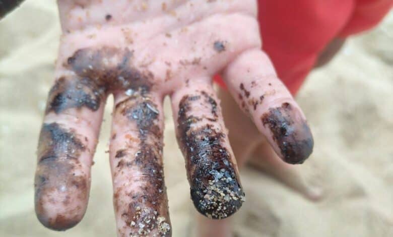 Three KwaDukuza beaches closed to bathers after oil spill | North Coast ...