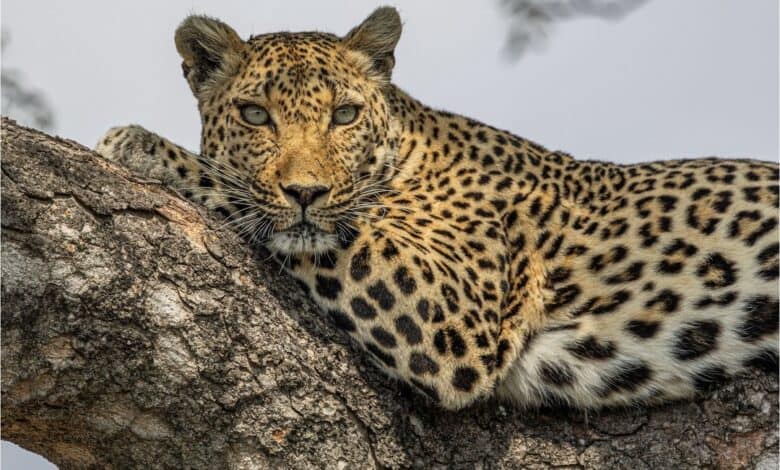 Nearly 100 images featured at Ballito Photo Club's February event ...