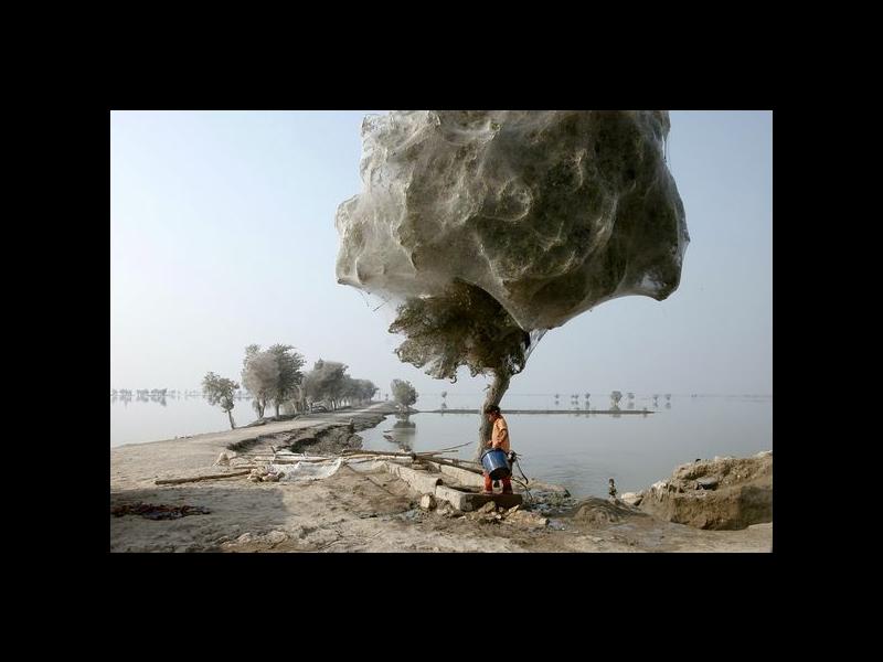 Charity fun run held at Voortrekker Monument | Rekord