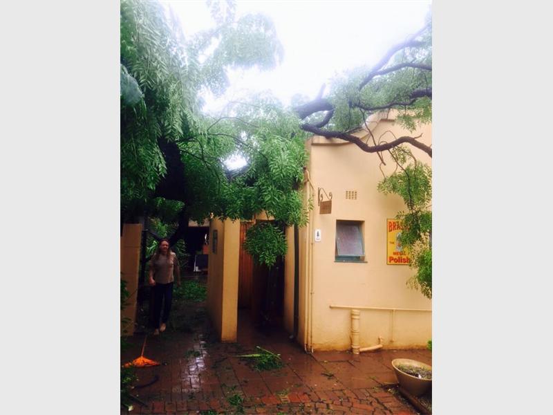 Rukwind veroorsaak chaos | Rekord