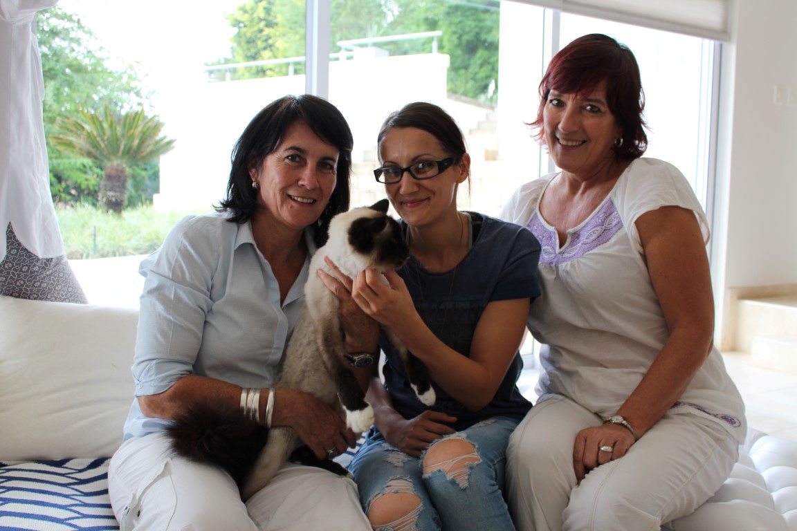 Cat reunited with owner after 13 years | Rekord