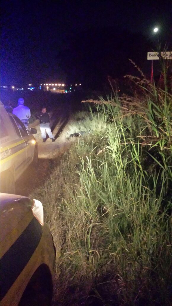 Robber shot dead by victim | Rekord