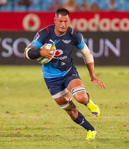 Spies back, Du Plessis and Stegmann on the bench against Blues | Rekord