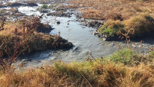 Sewage spillage in Apies feared | Rekord