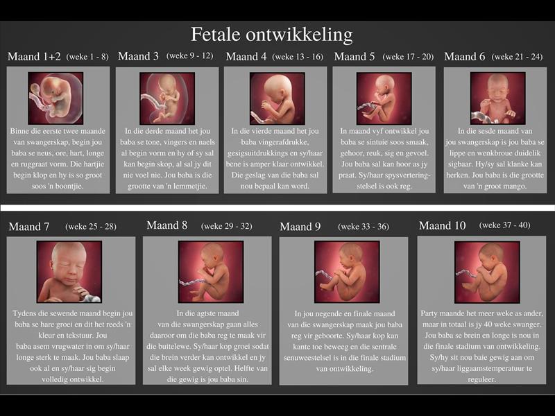 Die stem van die stil gebore baba | Rekord