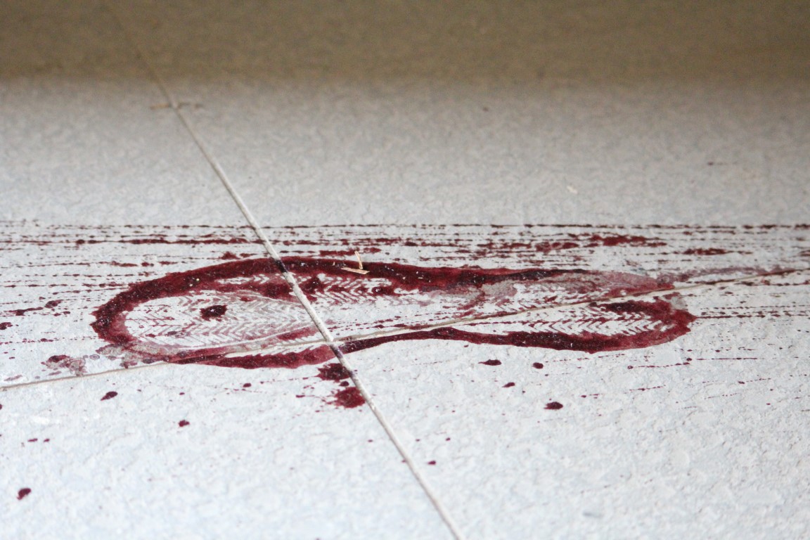 Domestic dispute leads to two deaths | Rekord