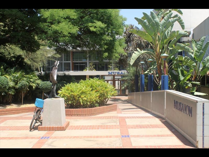 Murder leaves Tuks staff in fear | Rekord