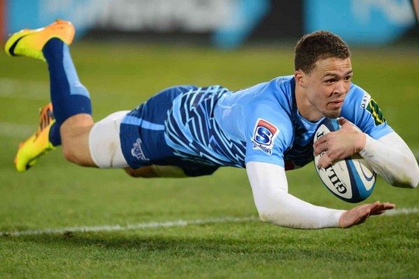 Basson back on the wing for Bulls | Rekord