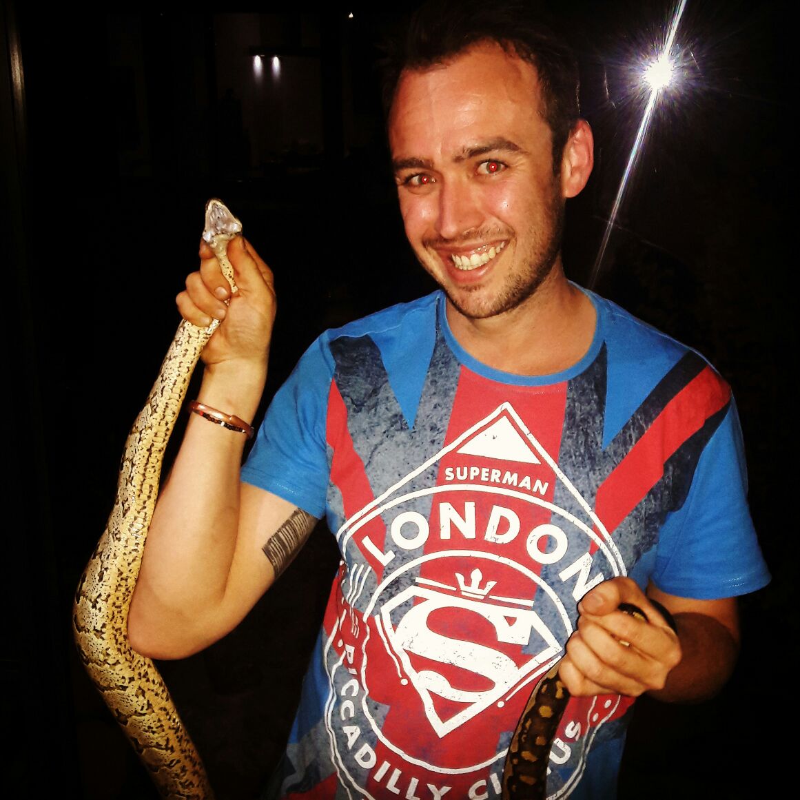 Two types of snakes found in Pta east | Rekord