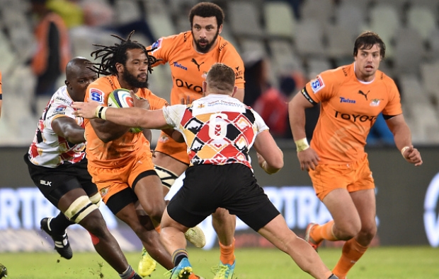 It's official: Cheetahs and Kings play in European series | Rekord