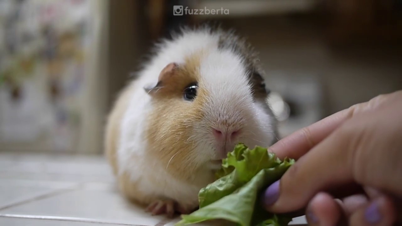 Fiela se Kind: Rekord praat met Pta aktrise Melissa Willering | Rekord