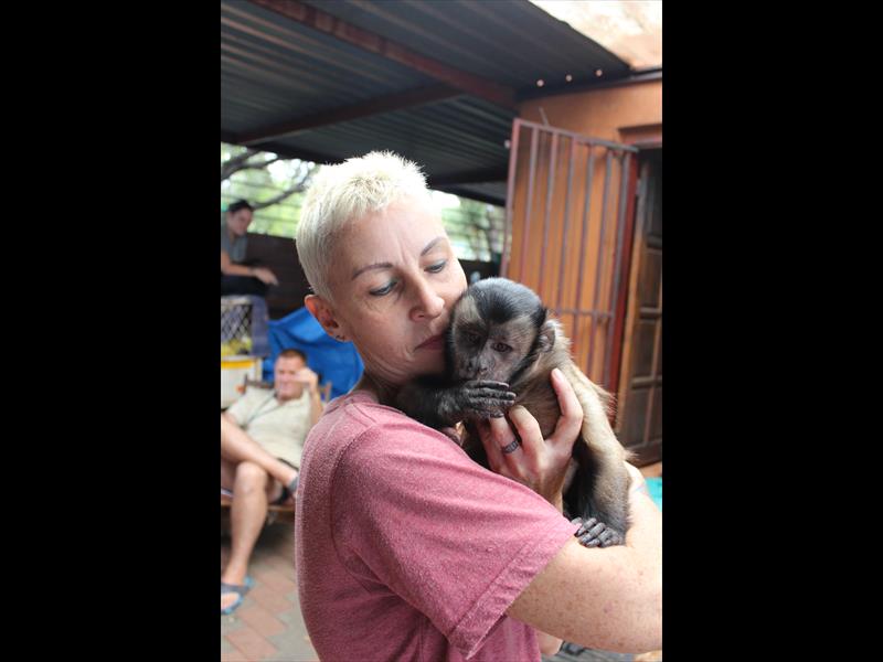 VIDEO: Safe haven for monkeys in the Moot | Rekord