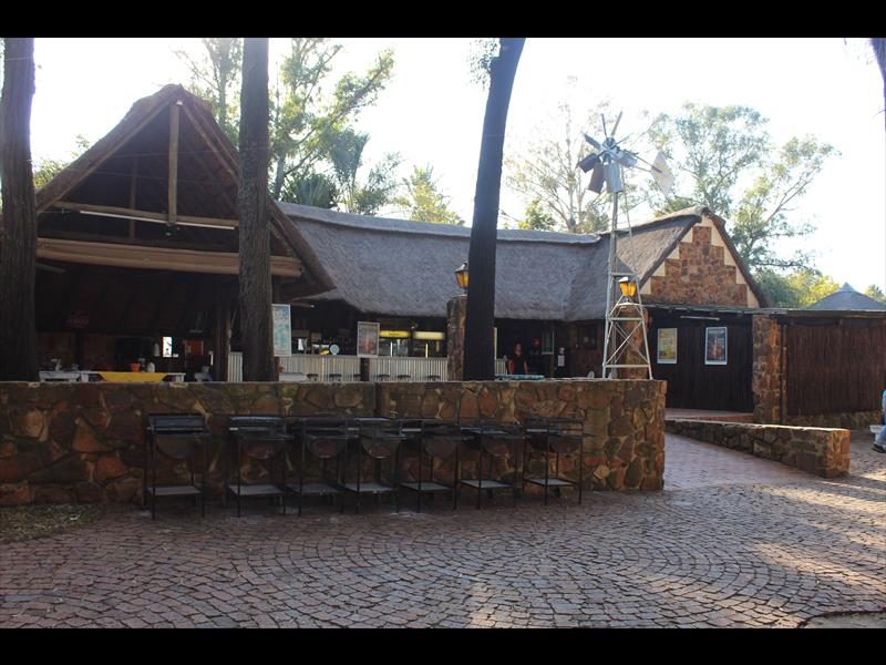 East restaurant denies monkey killing | Rekord