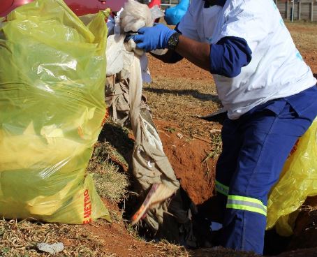 Ward 82 calls for clean-up volunteers this Saturday | Rekord
